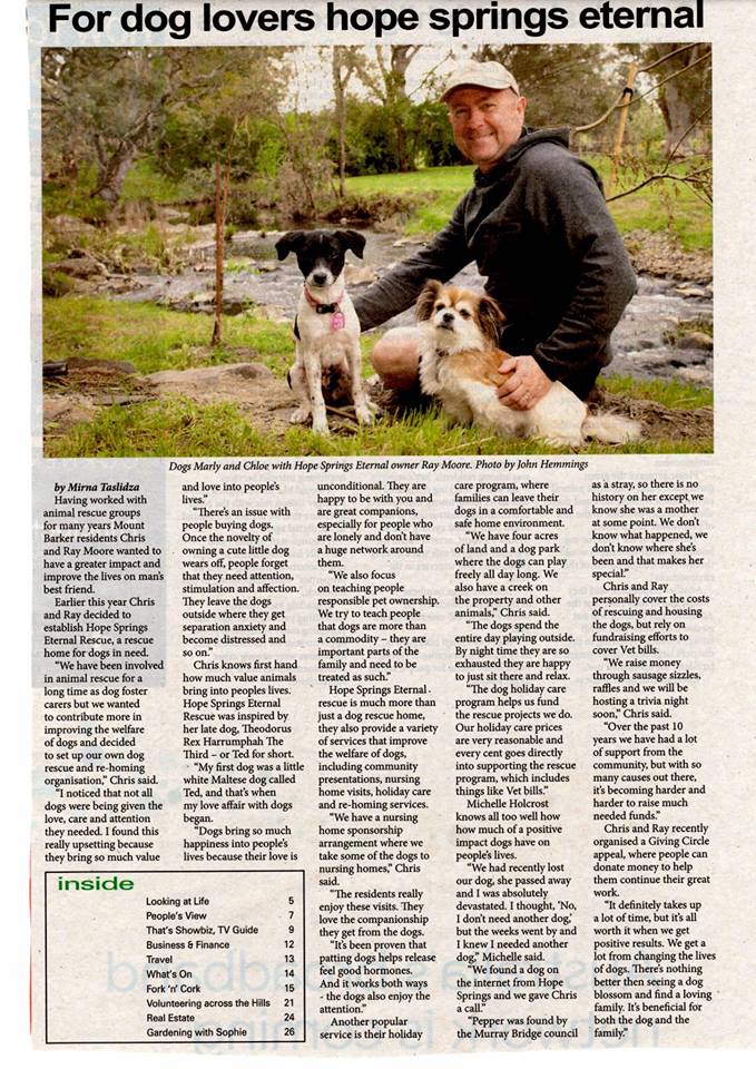Media | Hope Springs Eternal Dog Rescue, Rehoming & Retirement Inc.